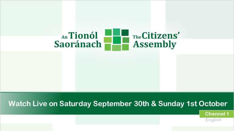 Video Archive: Eleventh Meeting of the Citizens' Assembly